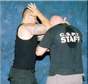 Unarmed Counter Assault Tactics-Demi Barbito